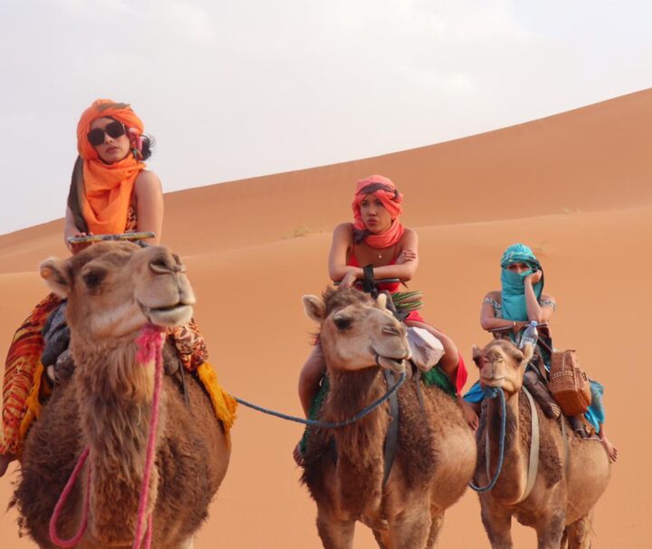 Marrakech Desert Tours Tilila Travel