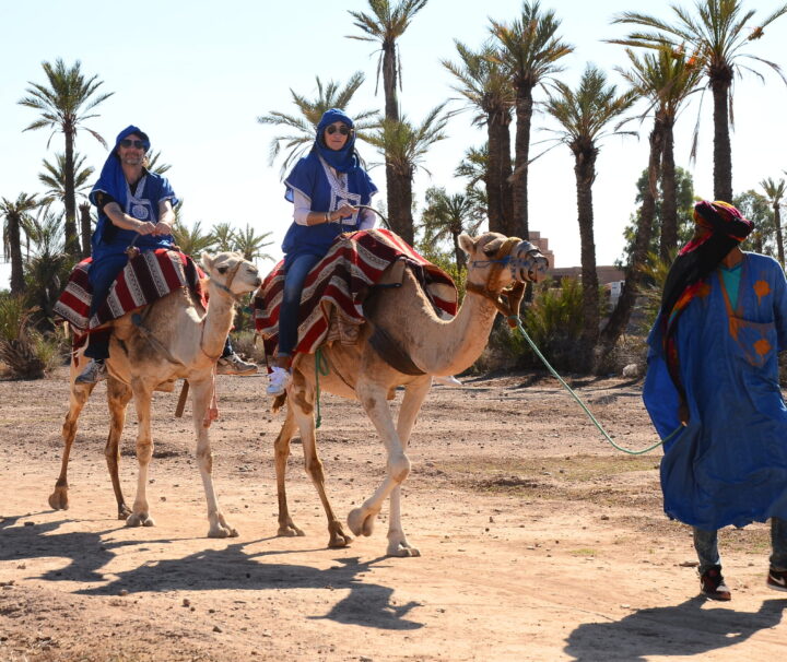 Marrakech Camel Ride Tilila Travel