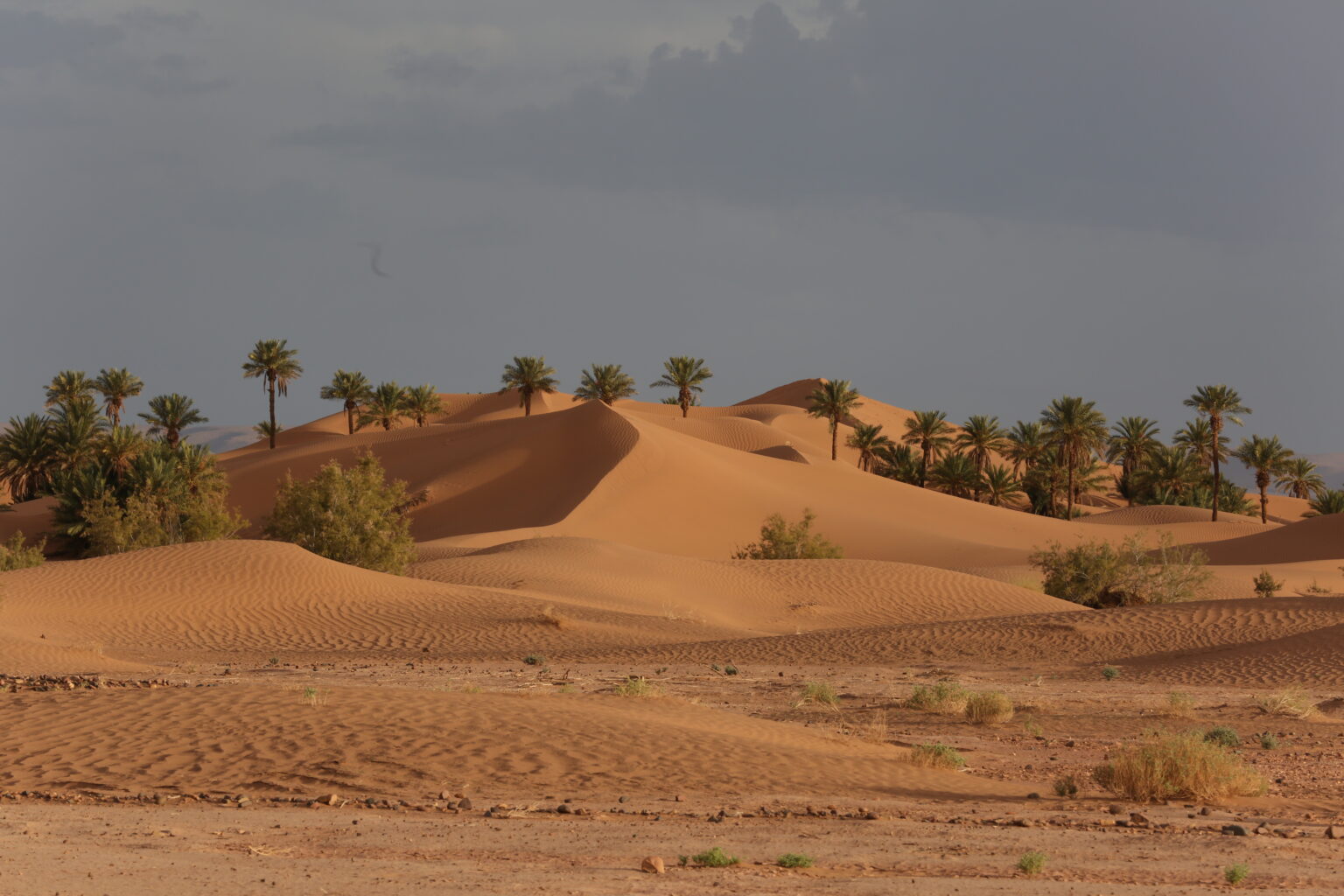 8 Days Adventure Desert Tour from Marrakech