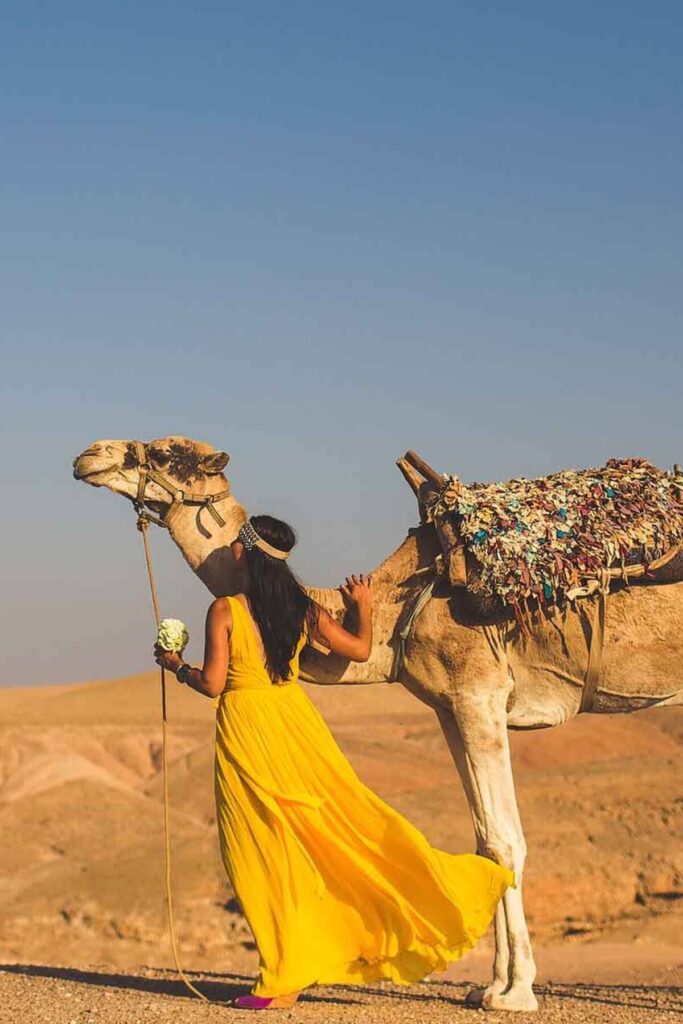 Agafay Desert Quad & Camel Tour with Dinner Show Tilila Travel